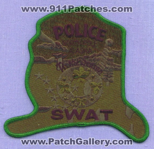 PatchGallery.com Online Virtual Patch Collection By: 911Patches.com ...